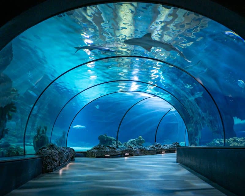 Elektro­technisch allround partner - endenburg